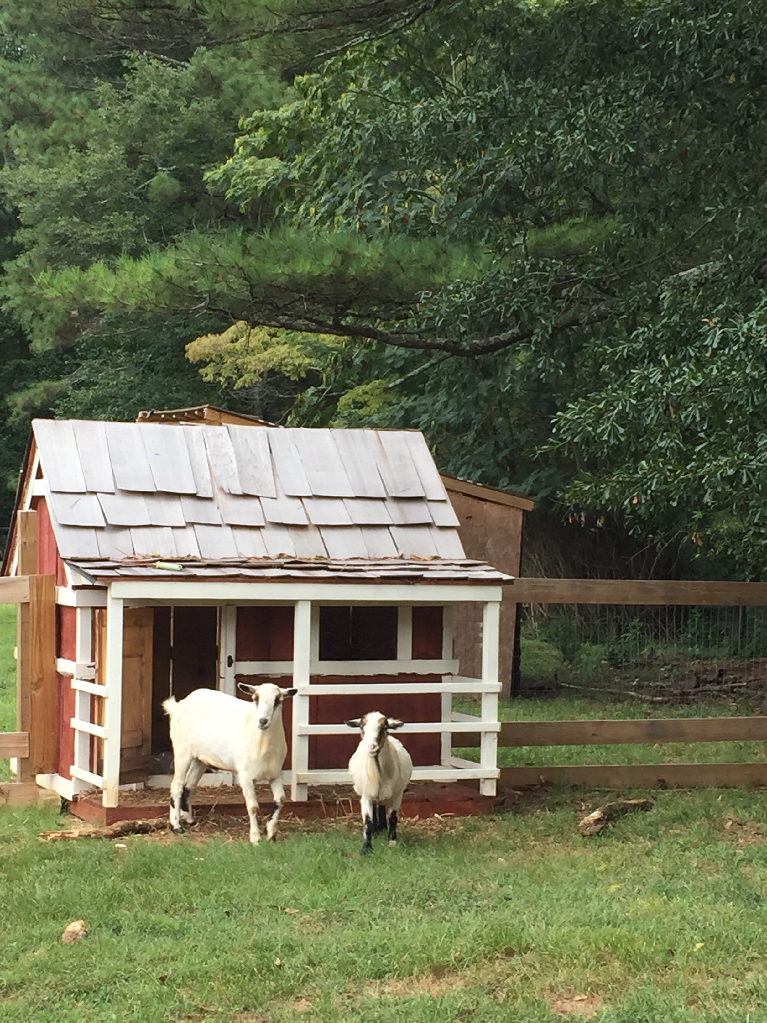 Farmfit {Who needs CrossFit when you have a farm?} » The Young Family Farm